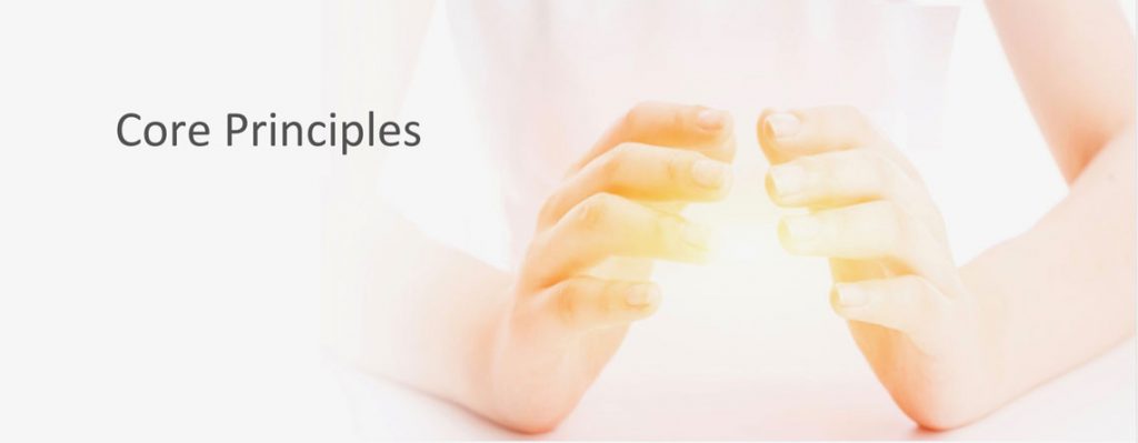 Core Principles – Neo English Solutions